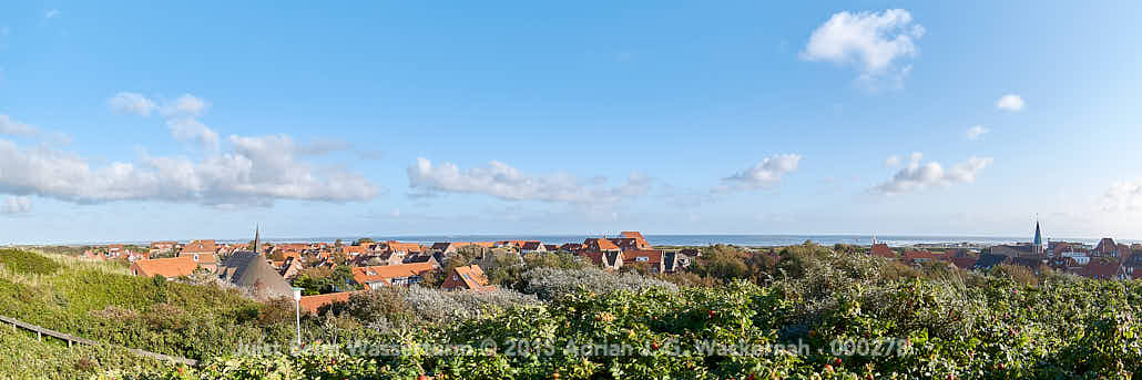 Wandbild Juist Panorama – Atelier An der Mühle
