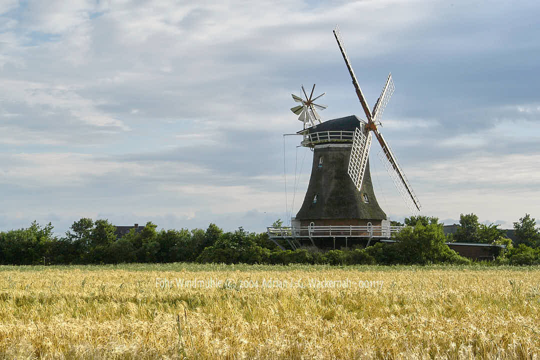 Wandbild Föhr Windmühle – Atelier An der Mühle